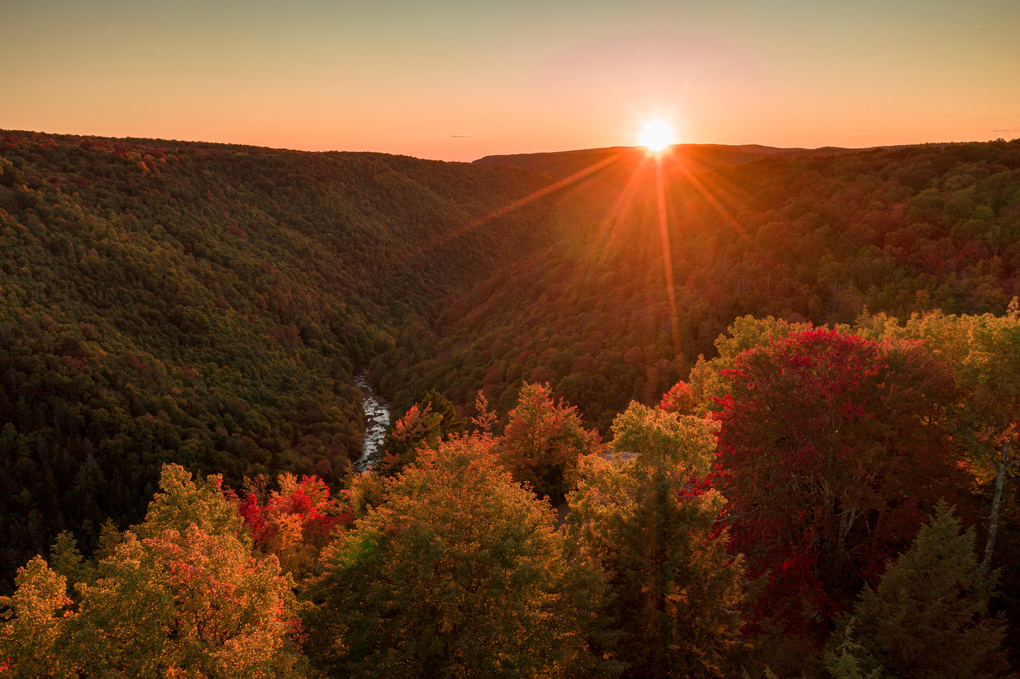 WV Tourism Releases 2022 Fall Foliage Map - The Hinton News